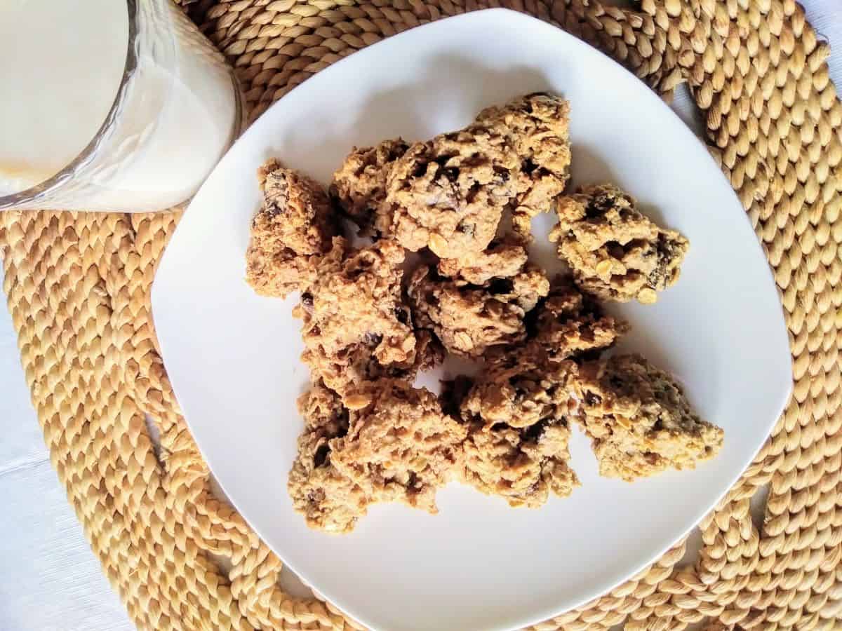 Homemade Vegan Oatmeal Date Cookies (Gluten-free) - Melissatraub.com